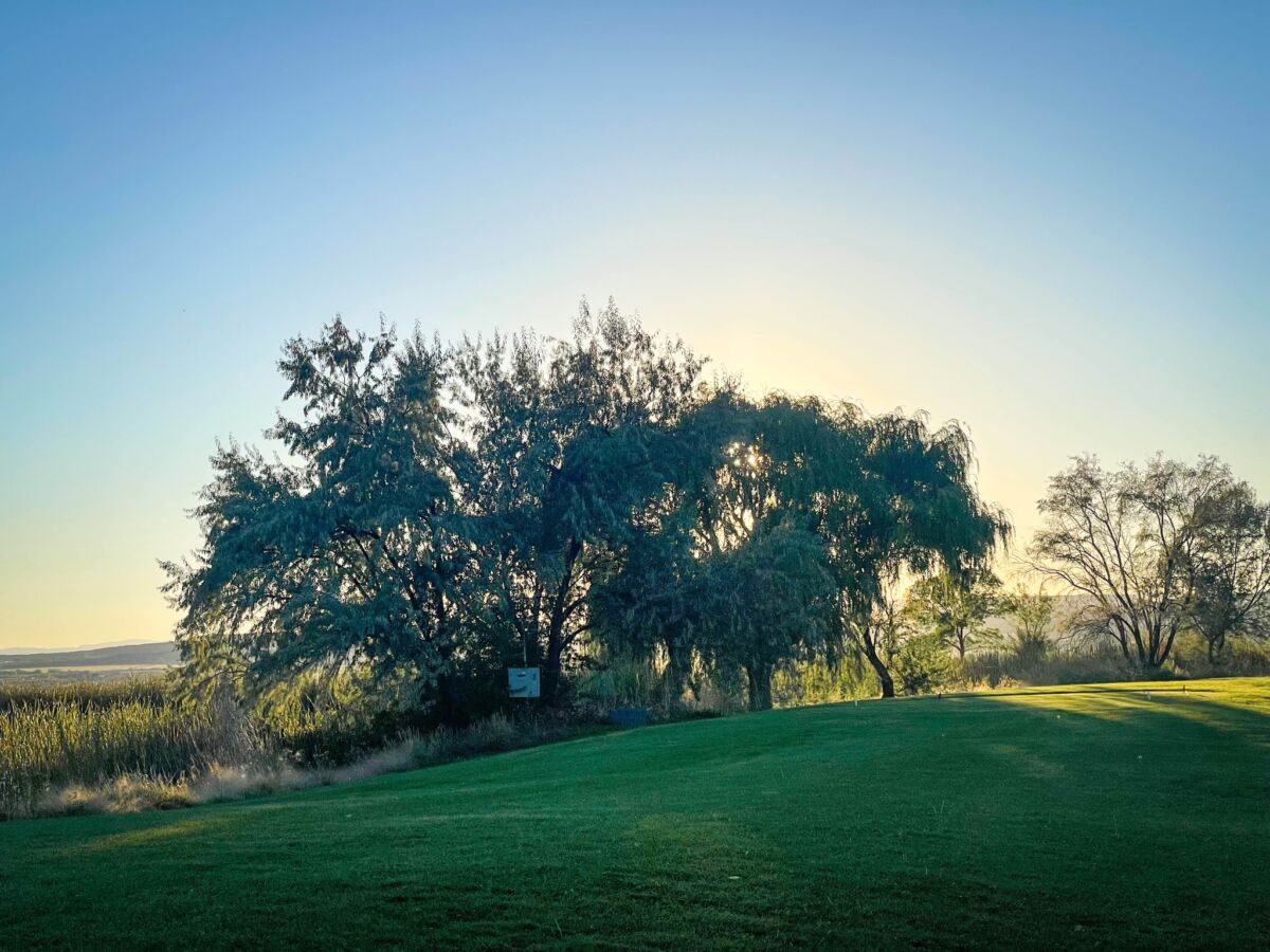 UBTech Foundation Golf Classic - UBTech